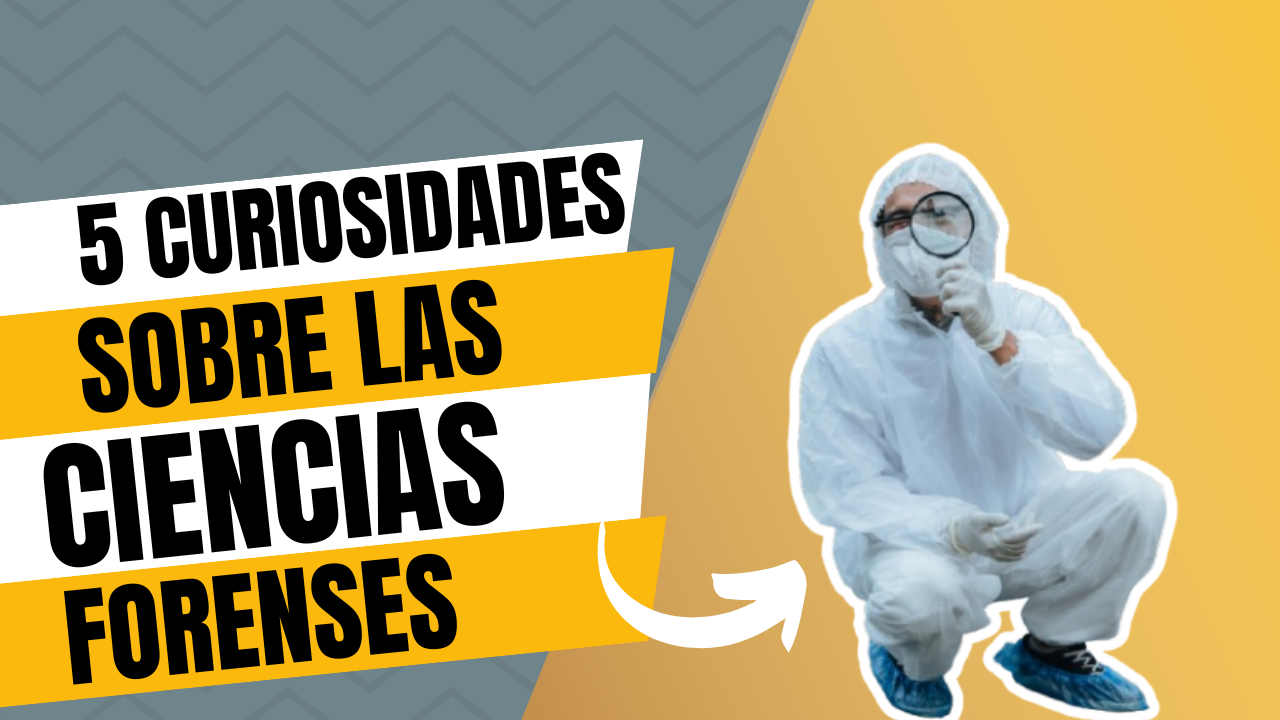 Curiosidades sobre la ciencia forense que no te enseñan en las series ...